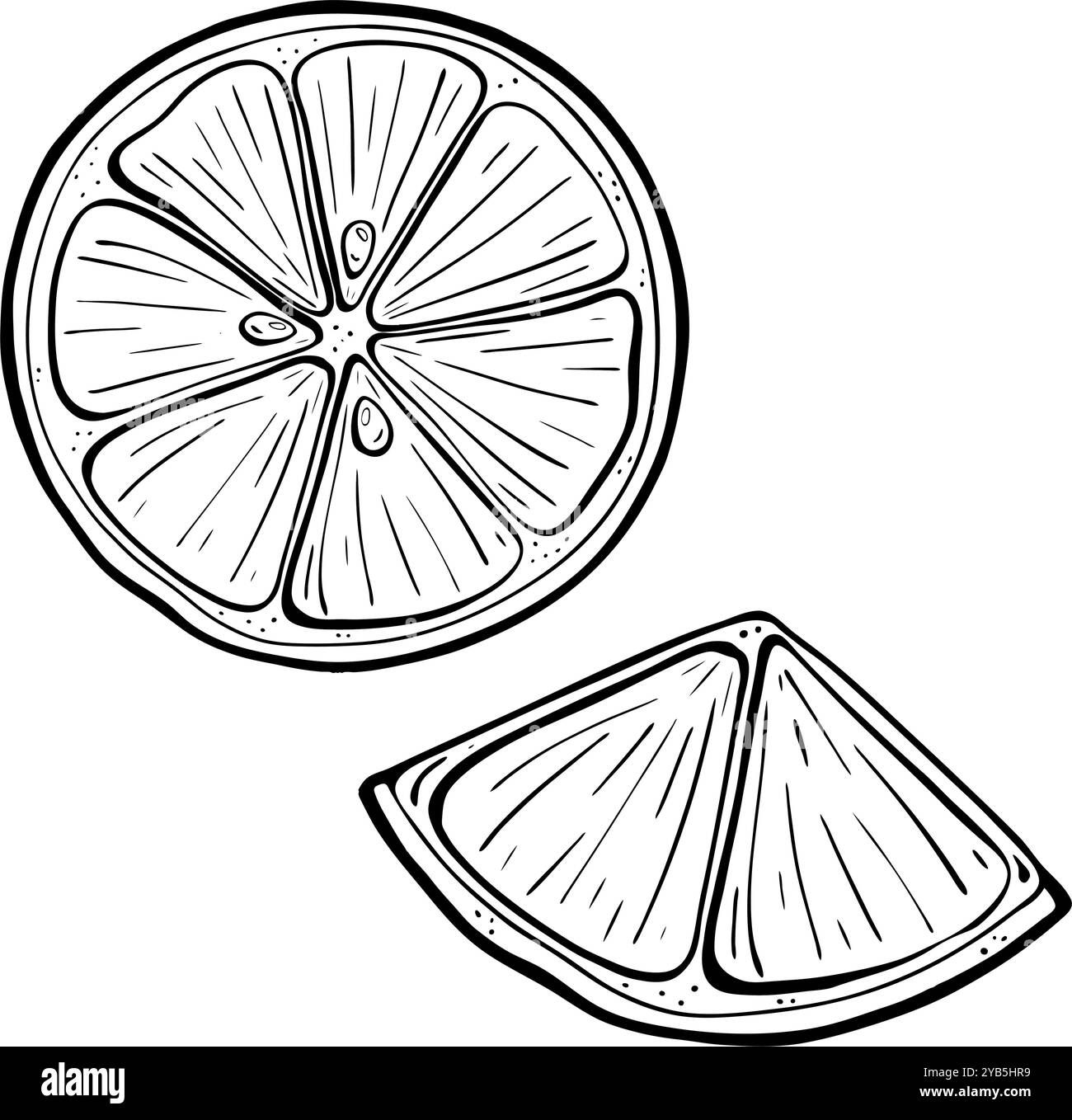 A beautifully rendered illustration featuring fresh lemon slices ...