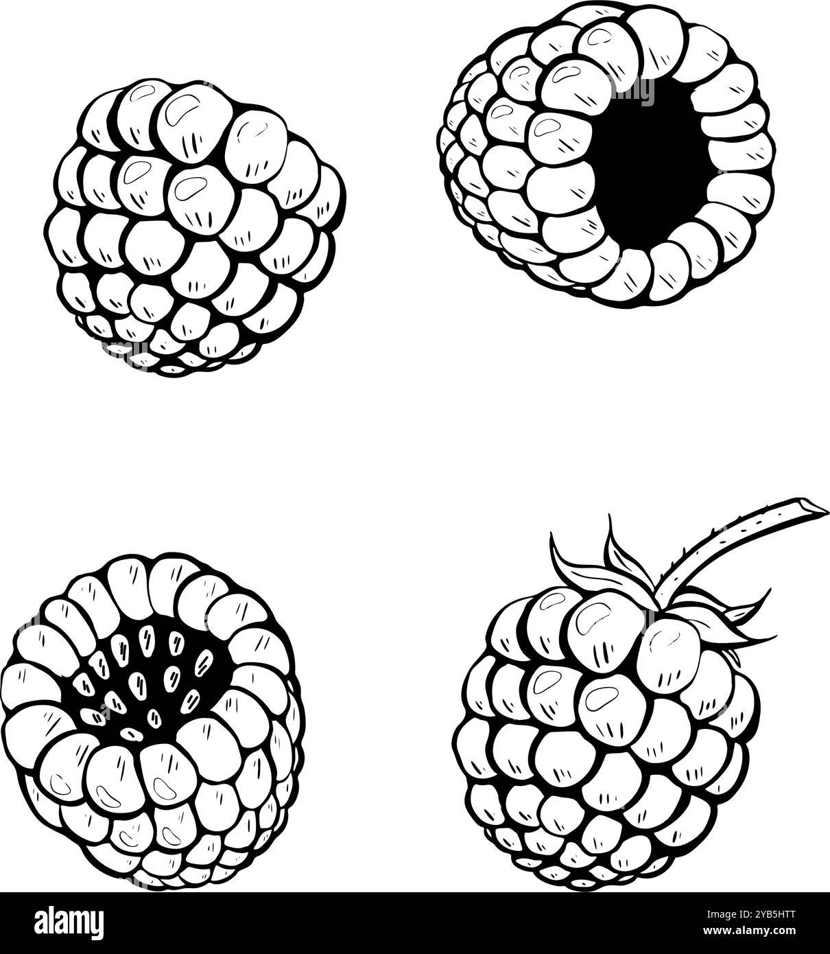 How To Draw A Raspberry How To Draw A Raspberry Step By Step