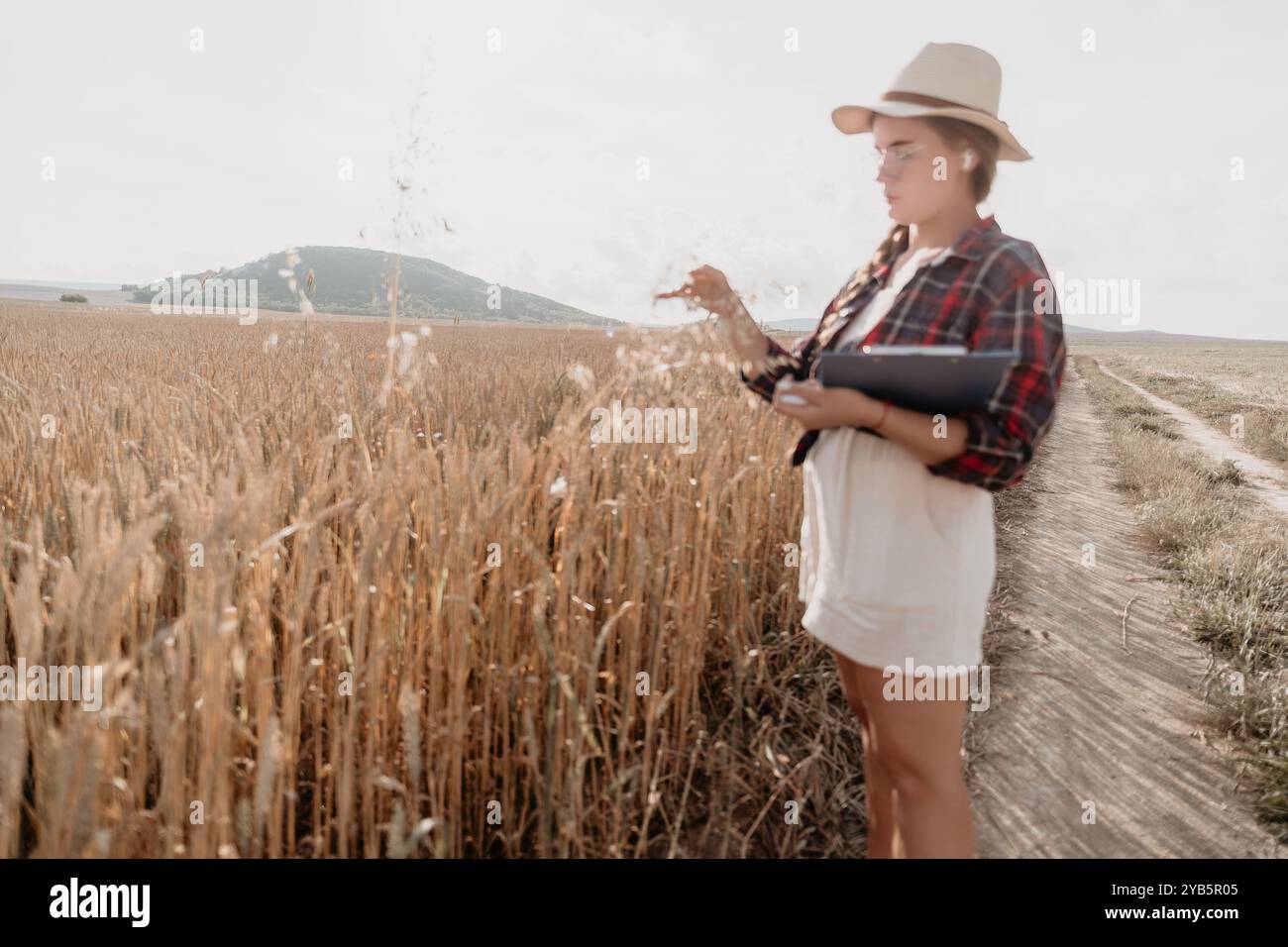 Woman looking wheat crops hi-res stock photography and images - Alamy