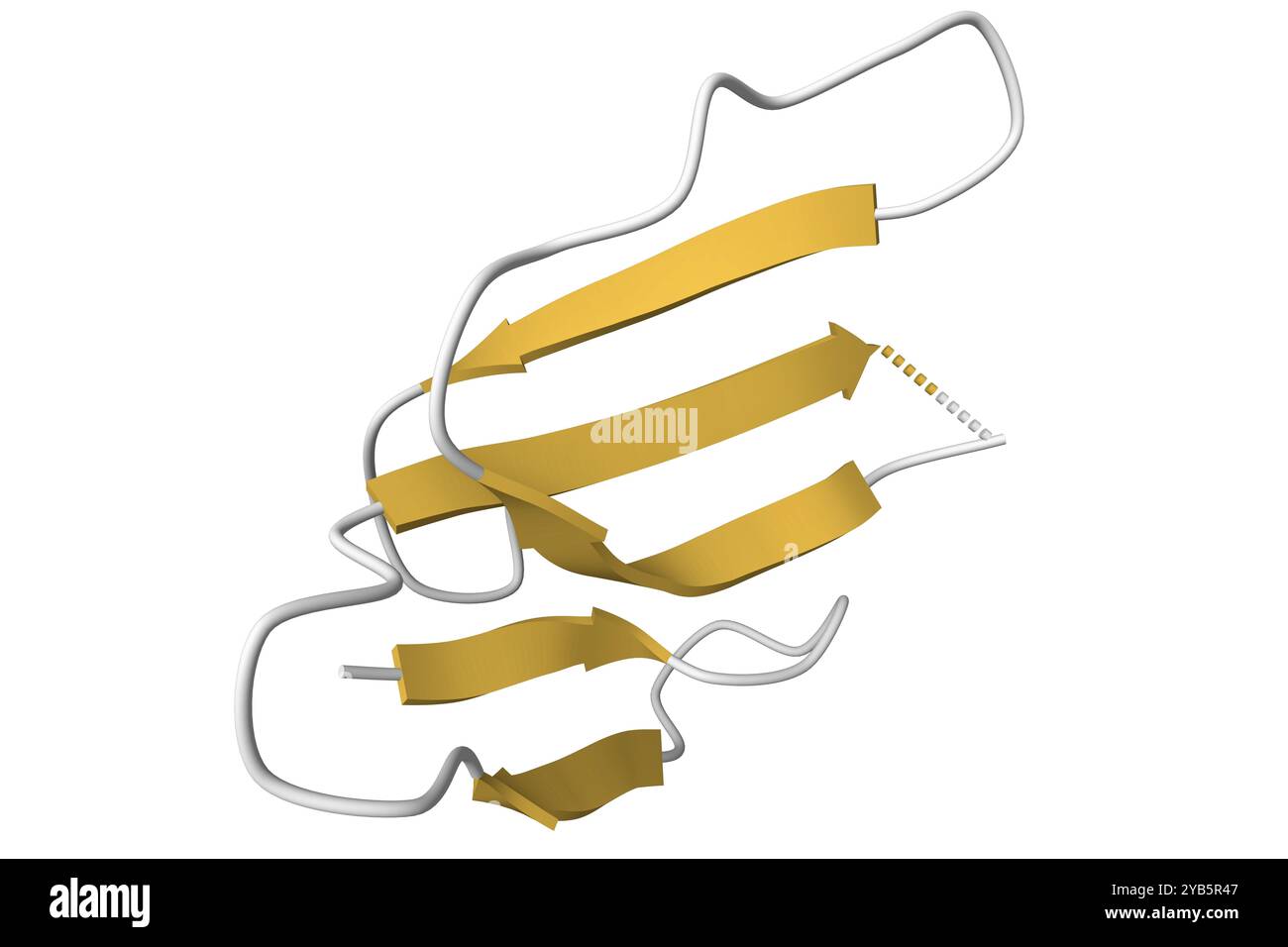 Crystal structure of beta-cardiotoxin from the venom of Ophiophagus ...