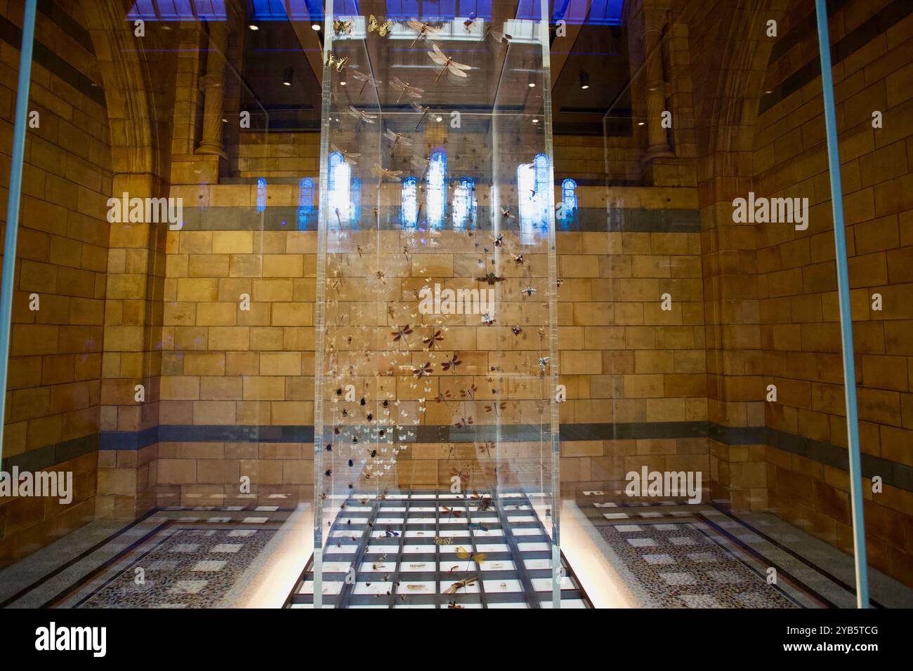 Insects, Natural History Museum, Cromwell Road, South Kensington, Royal ...