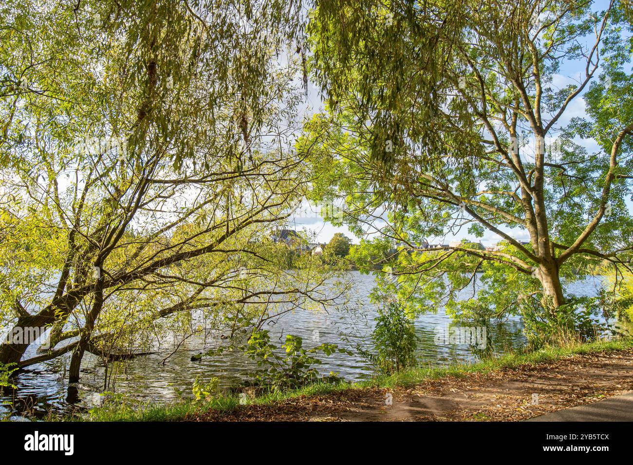 The park around Sortedam lake at Copenhagen,Denmark Stock Photo - Alamy