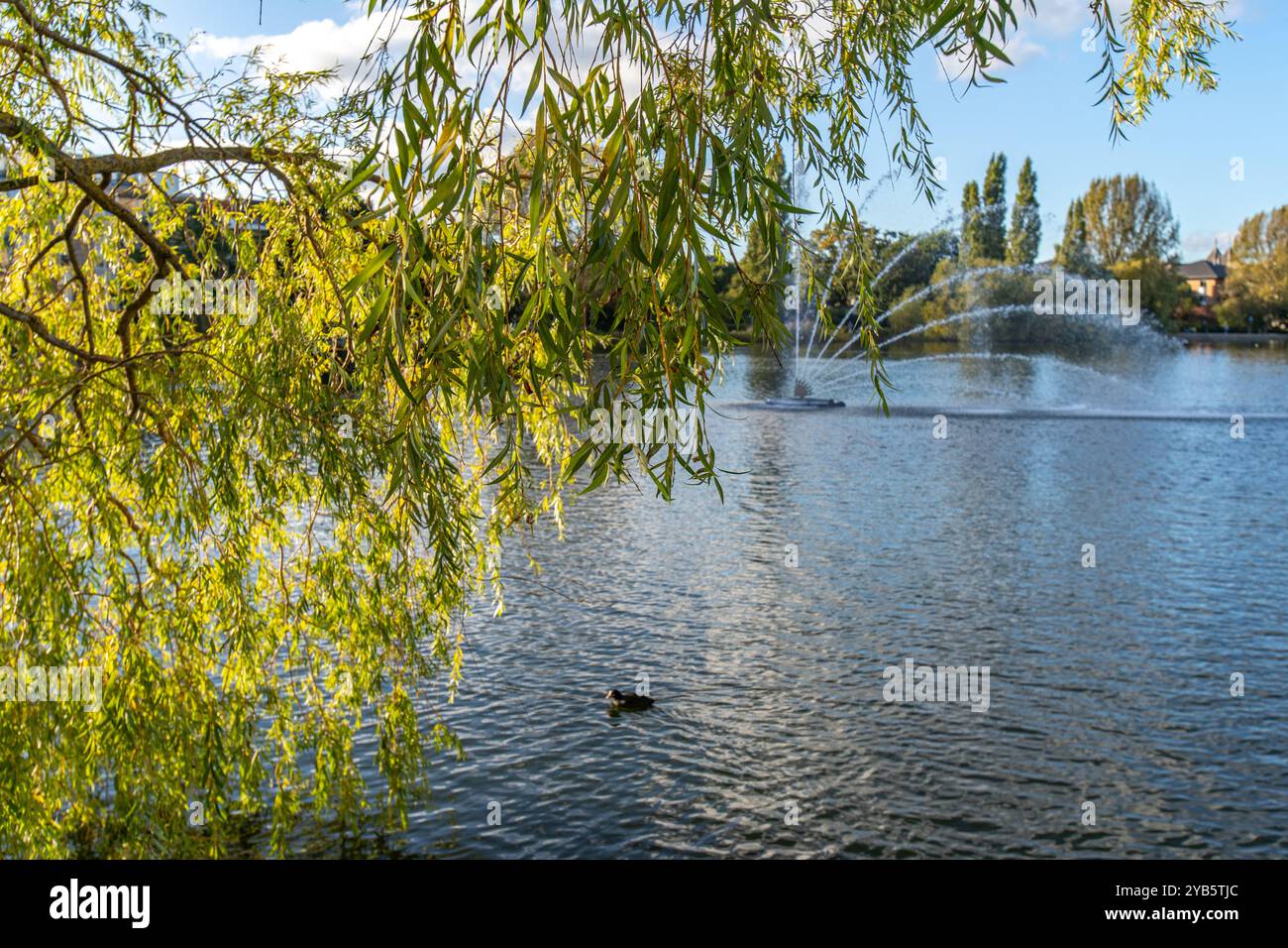 The park around Sortedam lake at Copenhagen,Denmark Stock Photo - Alamy