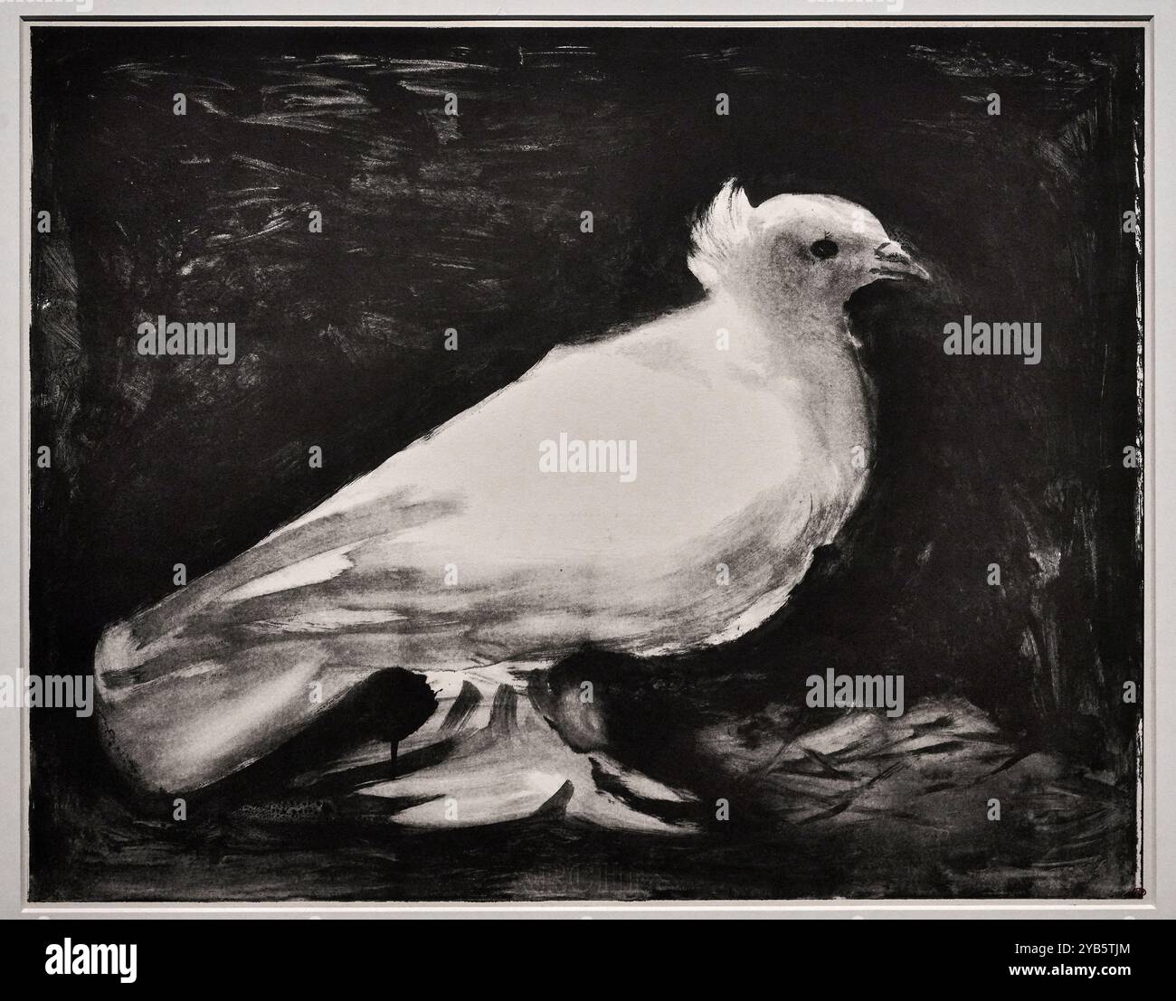 La Colombe - disegno a inchiostro su zinco - Pablo Picasso - 1949 ...