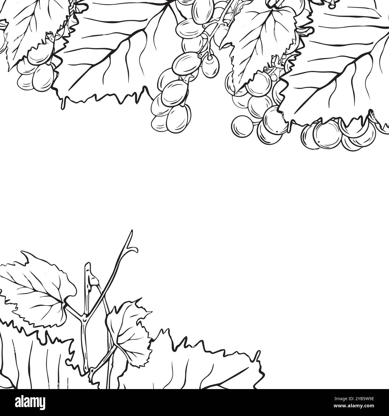 Grape frame background design Black and White Stock Photos & Images - Alamy