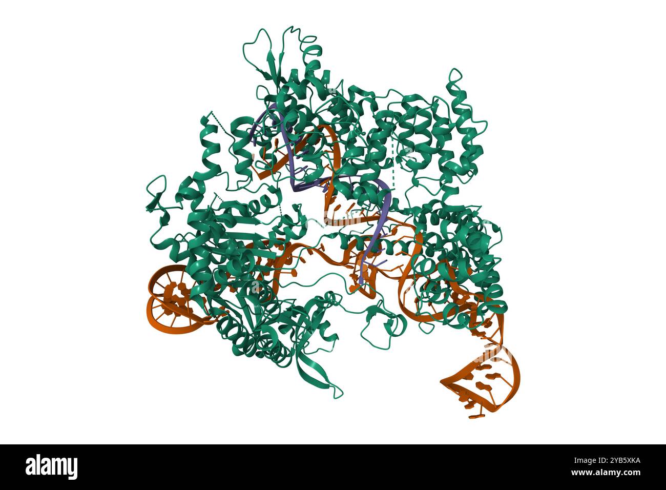 Crispr cas9 illustration hi-res stock photography and images - Alamy