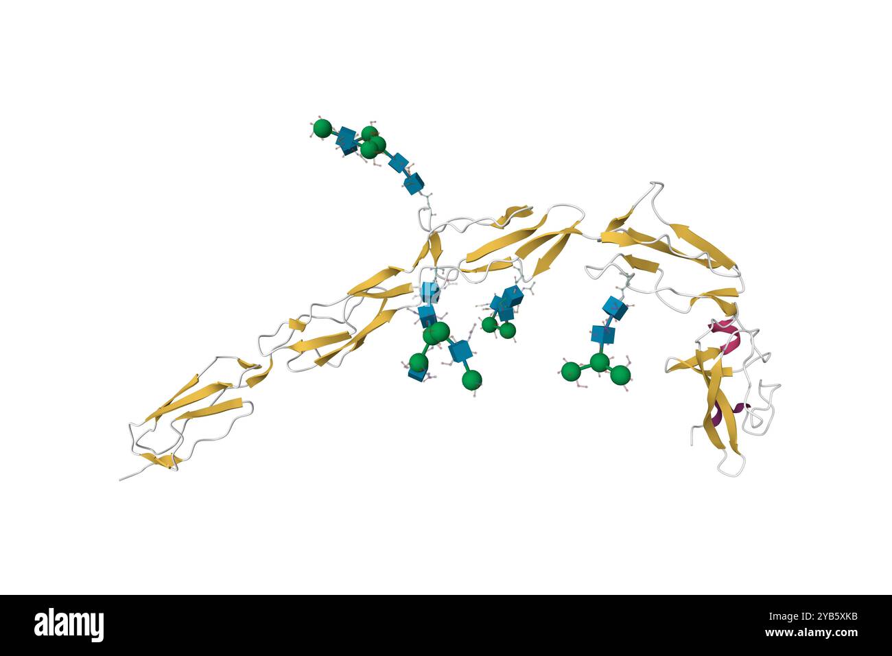 Crystal structure of Beta-2 glycoprotein I purified from plasma (pB2GPI ...