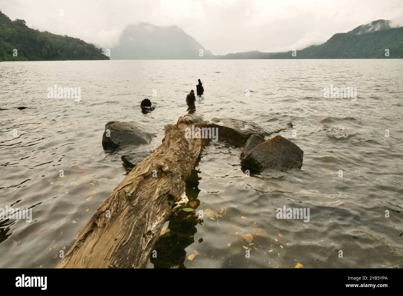 A view of Gunung Tujuh lake in Kerinci Seblat National Park, Indonesia ...