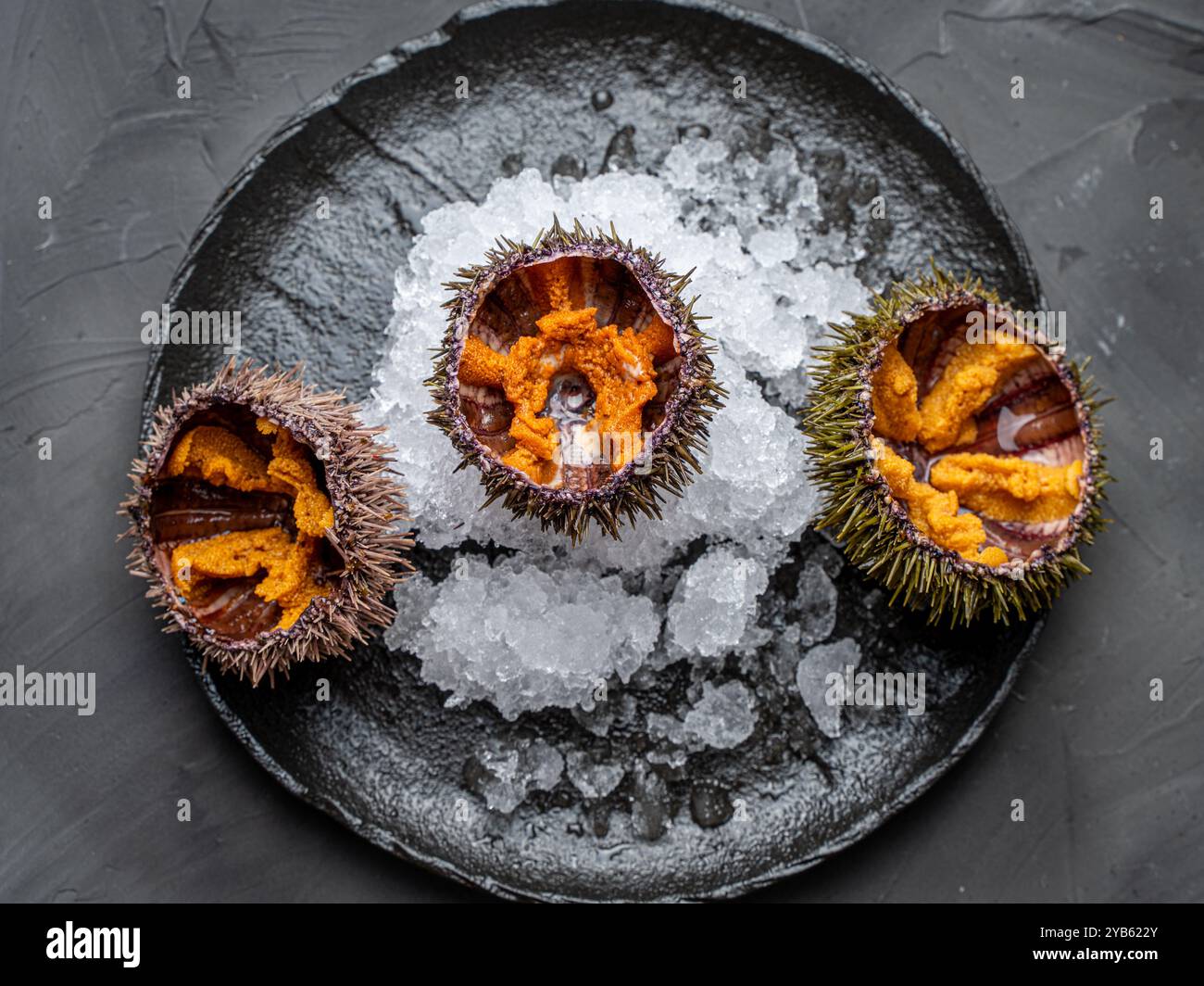 Raw seafood, exposed sea urchins with caviar on ice on a black mica ...