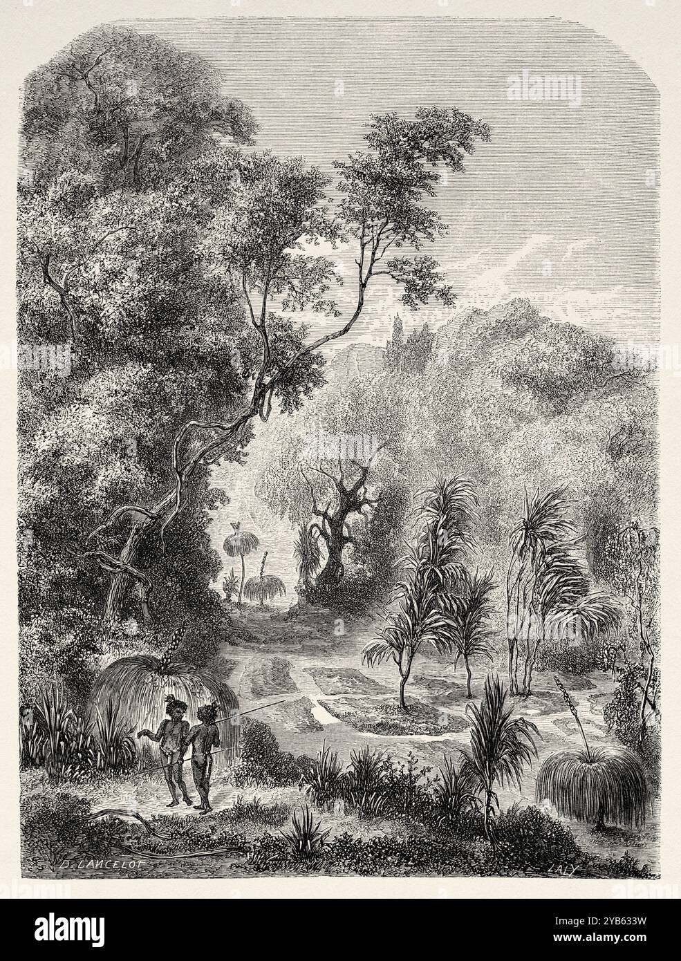 Aboriginal burial ceremony australia hi-res stock photography and ...