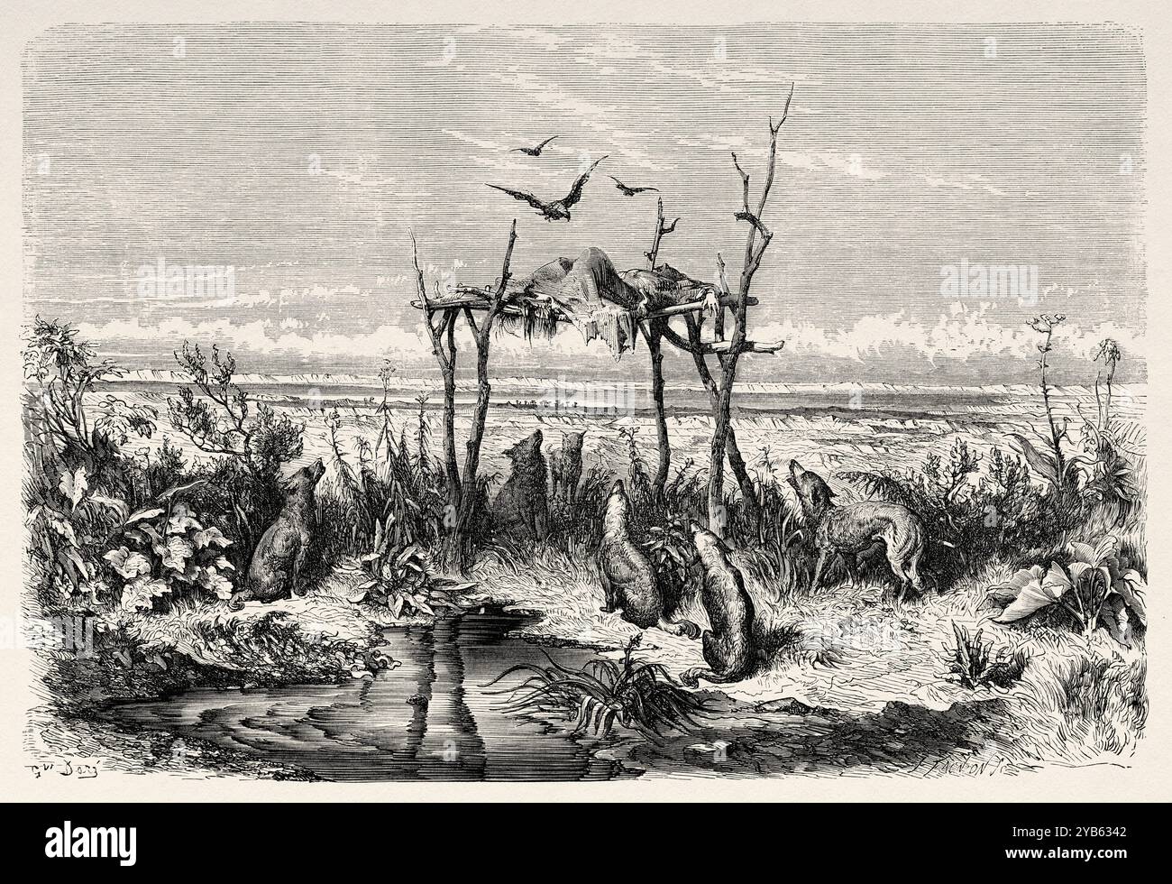 Aboriginal burial ceremony australia hi-res stock photography and ...