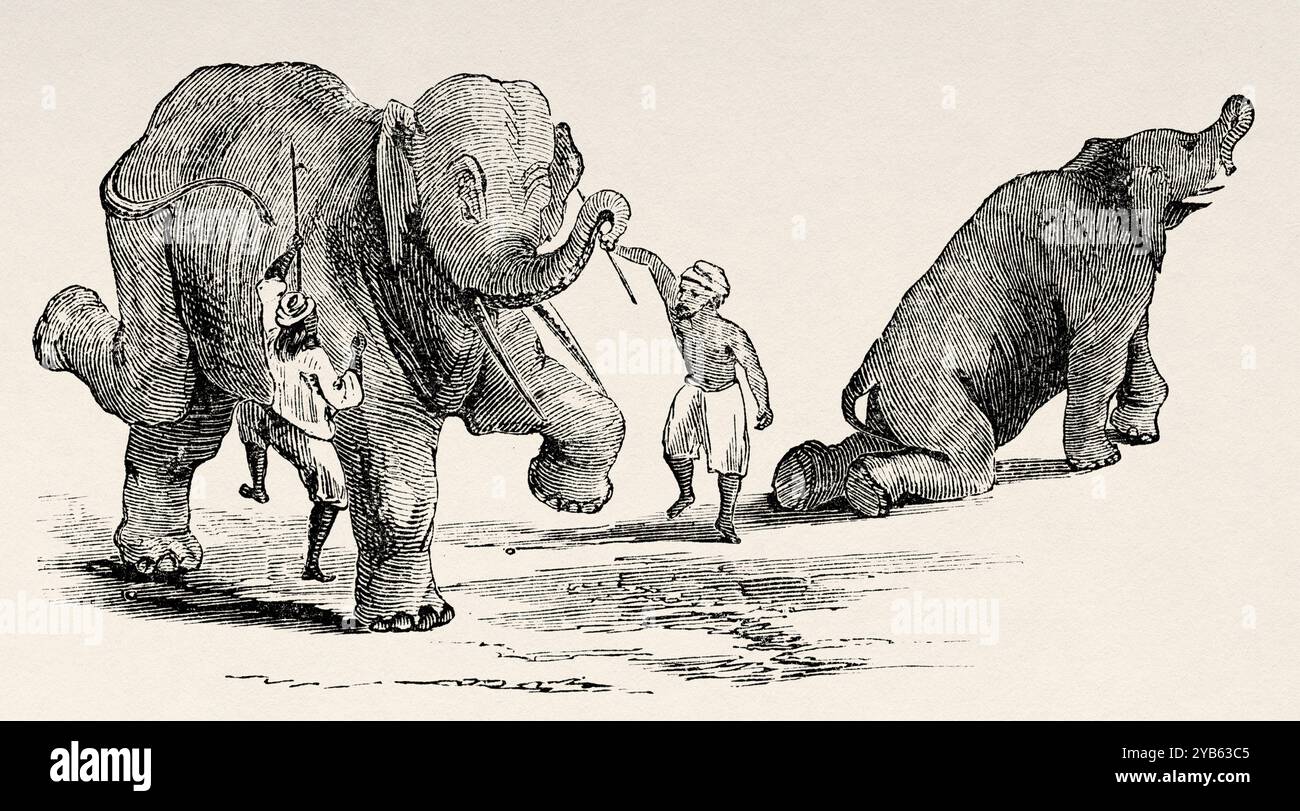 Burmese elephant dance, Burma, Myanmar. Southeast Asia. Travel to the ...