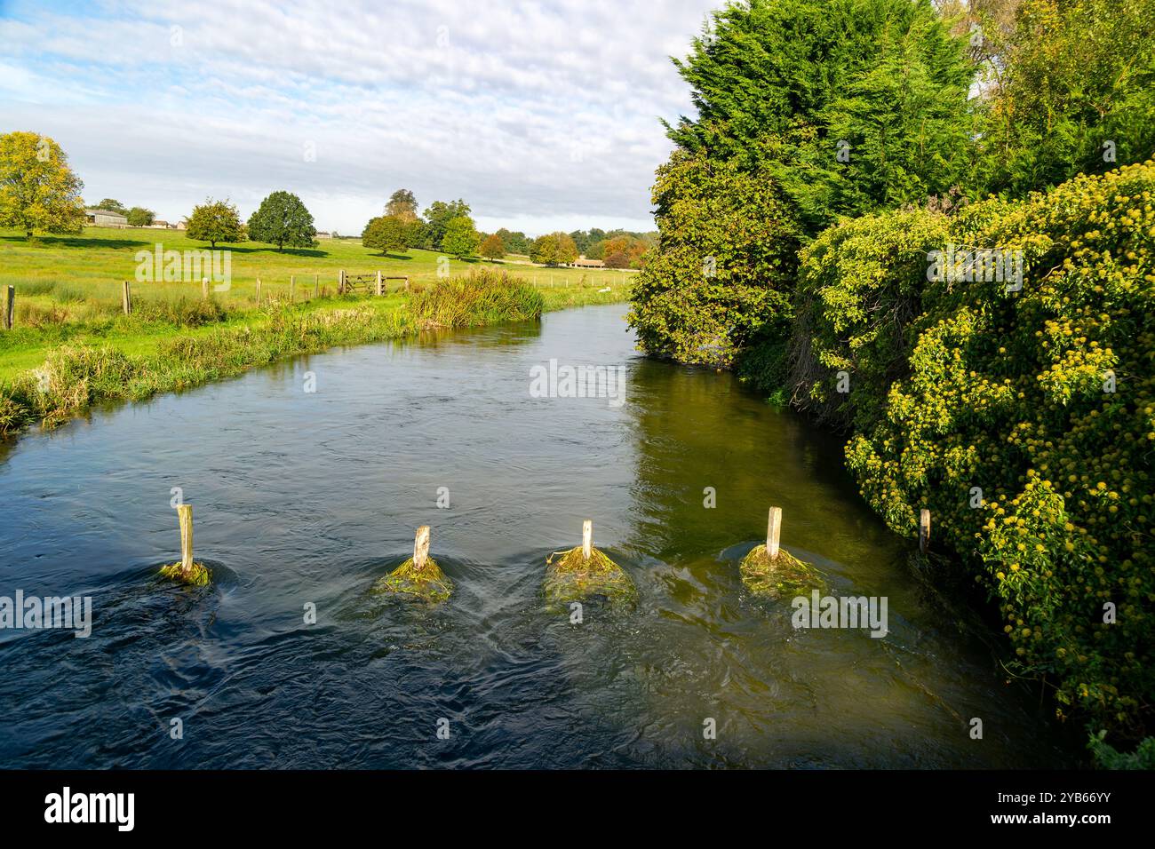 River Coln, village of Fairford, Cotswolds Gloucestershire, England, UK ...