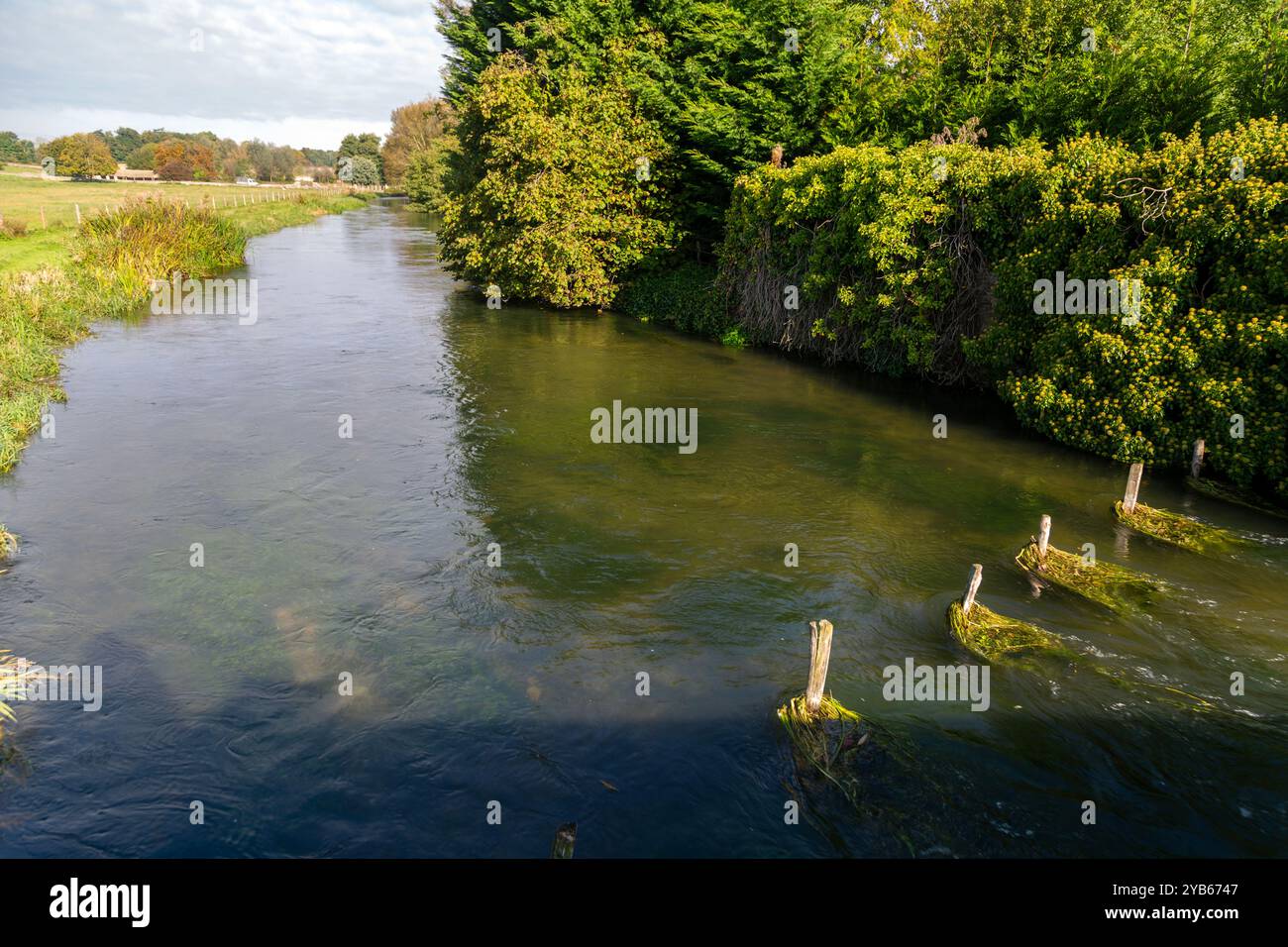 River Coln, village of Fairford, Cotswolds Gloucestershire, England, UK ...