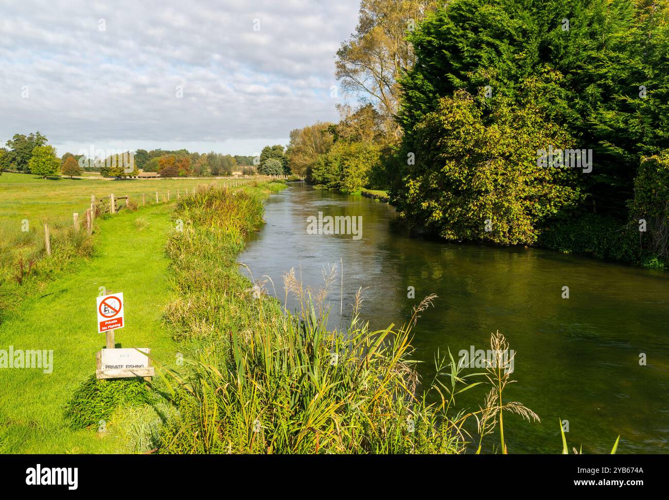 River Coln, village of Fairford, Cotswolds Gloucestershire, England, UK ...