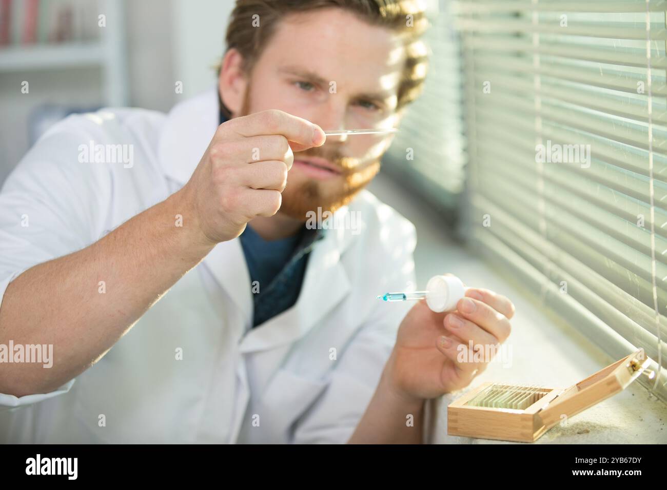 male scientist holding slide by window Stock Photo - Alamy