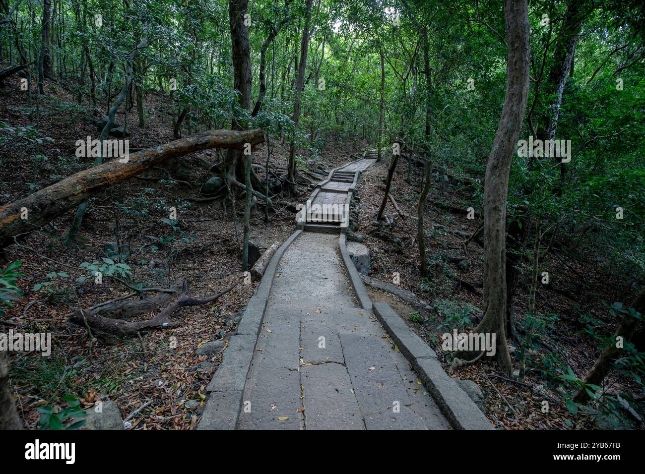 A section of the ancient stone pathway which winds for 639 metres ...
