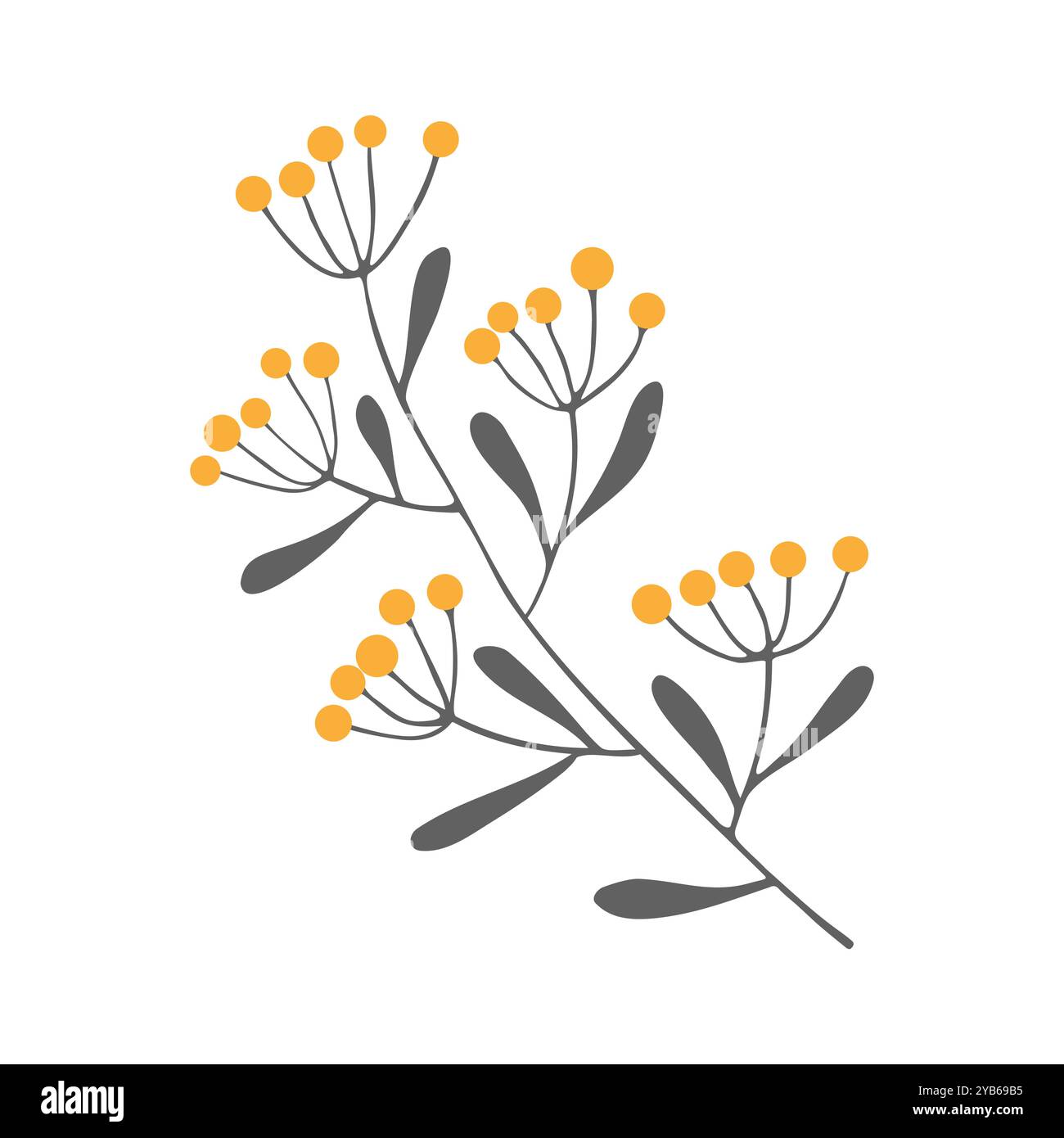 Twig hand drawn, branch doodle with orange berry, element isolated on ...