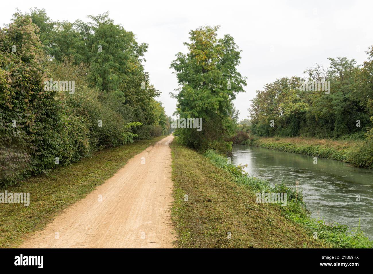 Huningue France 23rd September 2024. Autumn colours from the trees ...