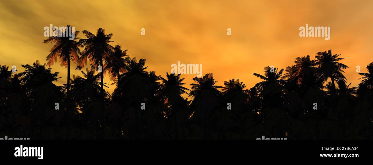 Tropical rainforest at dusk Stock Photo - Alamy