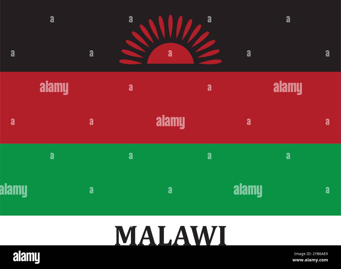 malawi flag icon vector illustration symbol design Stock Vector Image ...