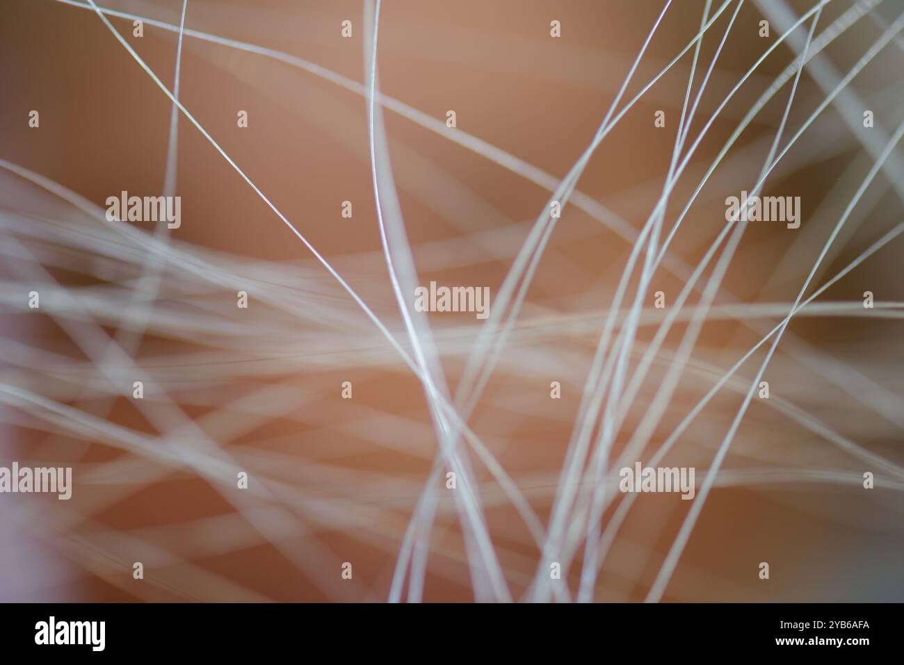Thin fibres hi-res stock photography and images - Alamy