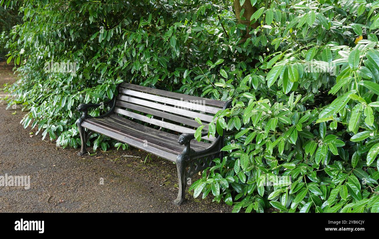 Park bench serene hi-res stock photography and images - Alamy