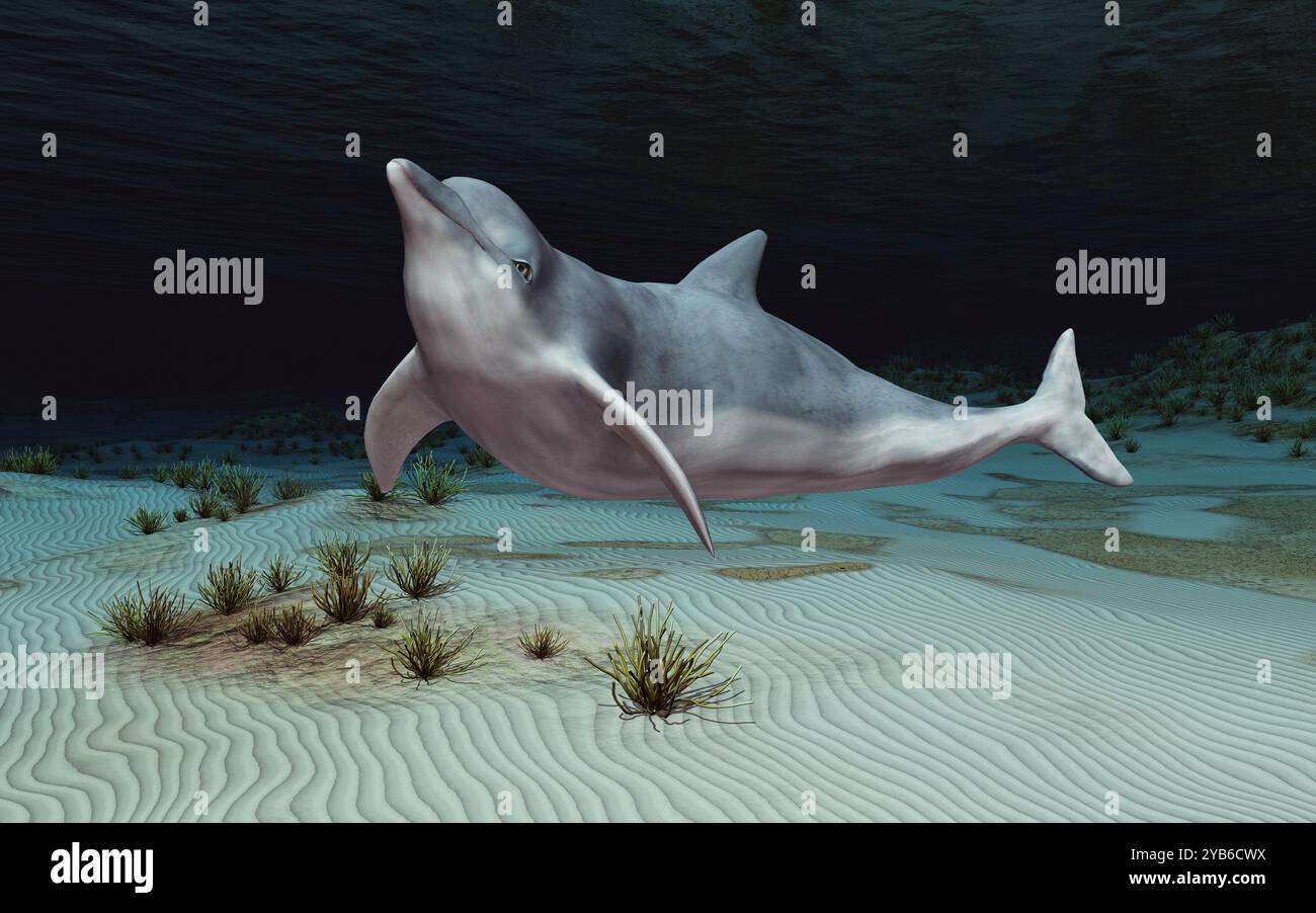 Dolphin in an underwater landscape Stock Photo - Alamy