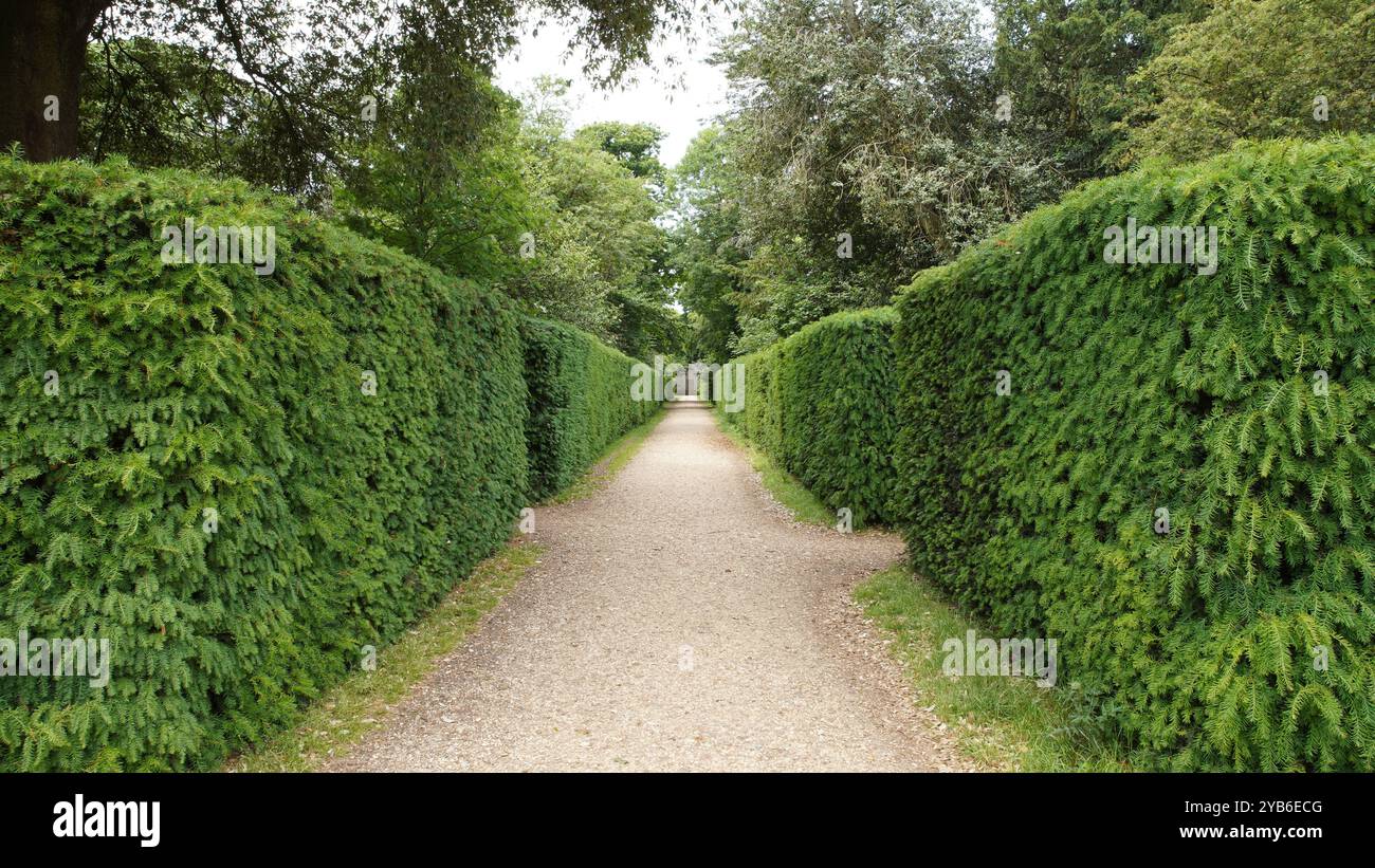 Hedges, hedgings and hedgerows in Chiswick Gardens Stock Photo - Alamy