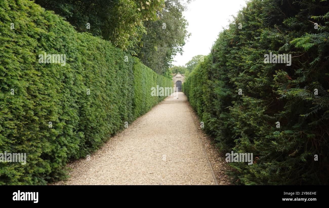 Converging hedges hi-res stock photography and images - Alamy