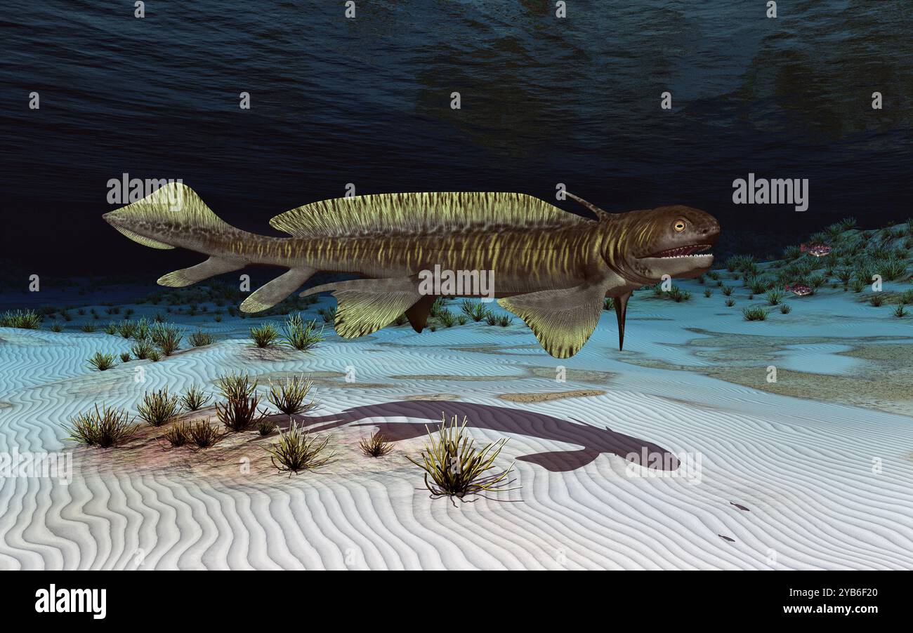 Orthacanthus hi-res stock photography and images - Alamy