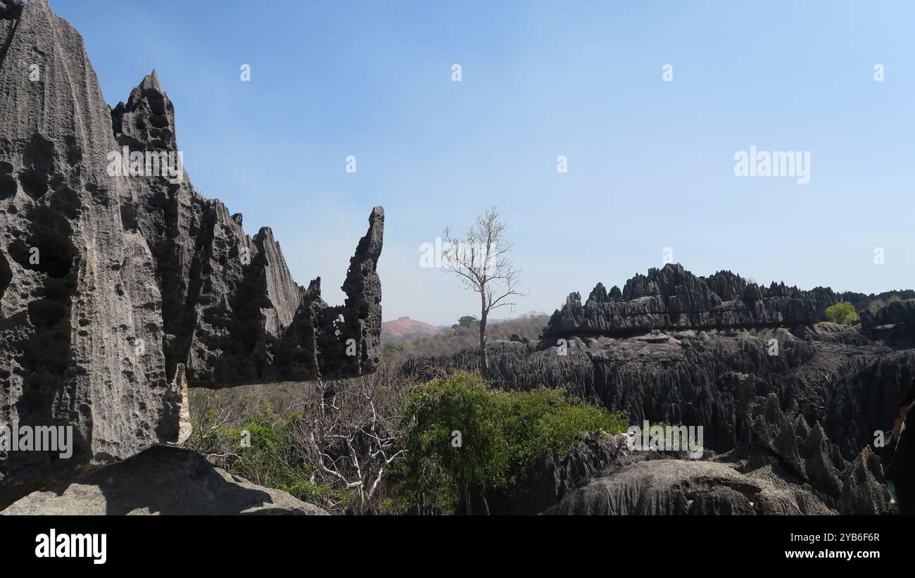 "Big" Tsingy de Bemaraha, UNESCO world heritage site view from the top ...