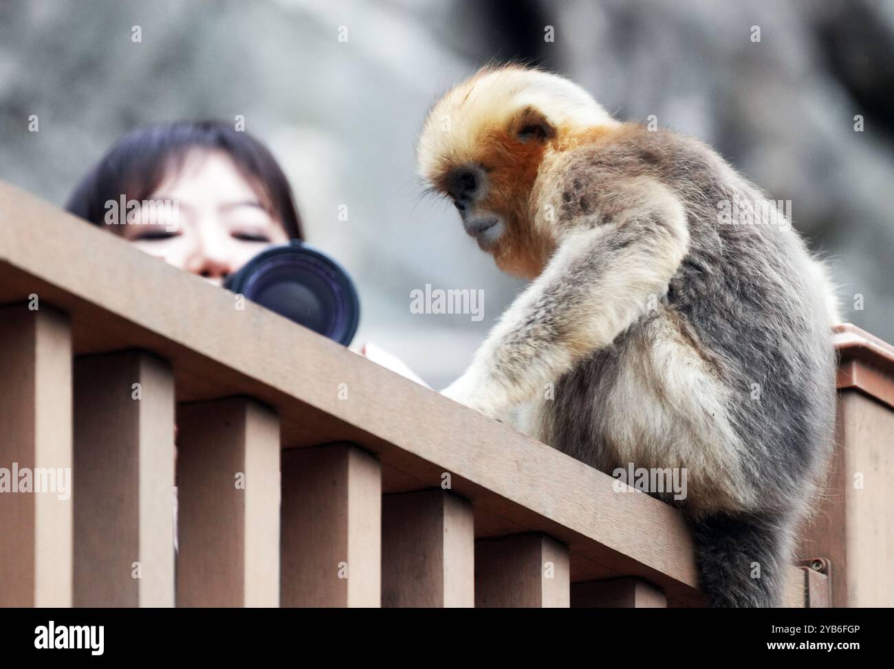 Yuhe nature reserve hi-res stock photography and images - Alamy