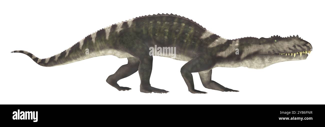 Archosaur Prestosuchus isolated on white background Stock Photo - Alamy