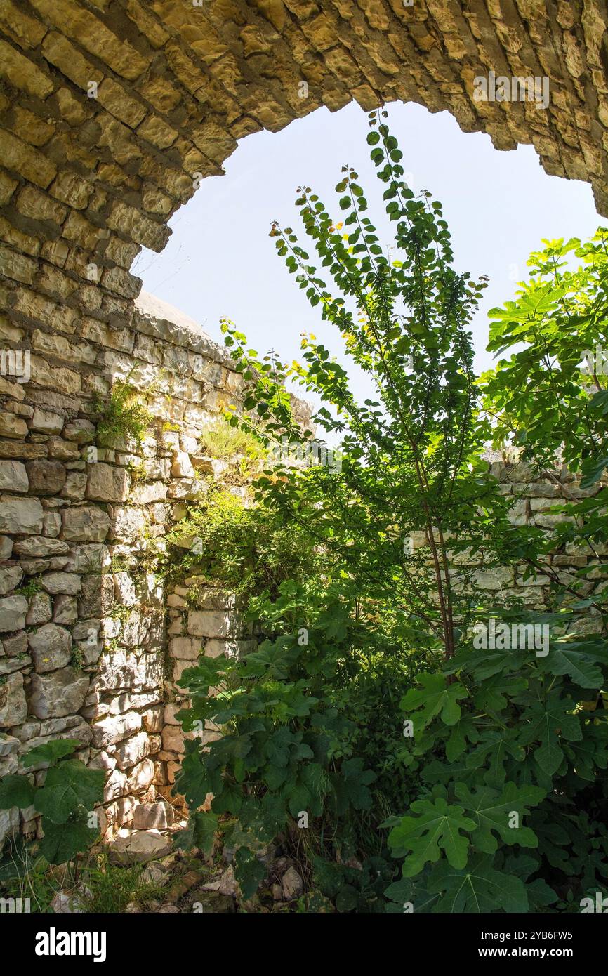 Round-arched openings in a ruin in 13th century Citadel in Berat Castle ...