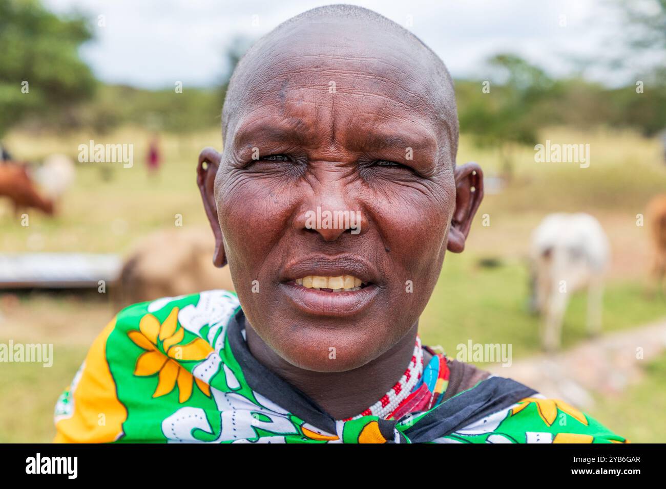 Portrait of a herdsman from the Masai tribe in traditional Masai ...
