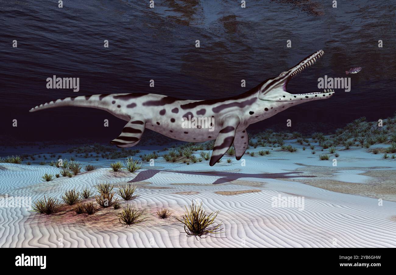 Pliosaur Kronosaurus on the hunt Stock Photo - Alamy