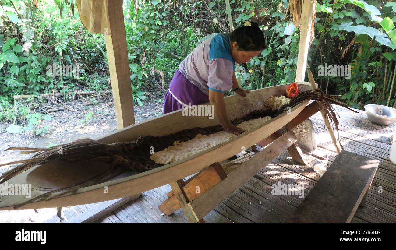 Indigenous woman in the Cuyabeno Natural Reserve making fresh Yuca ...