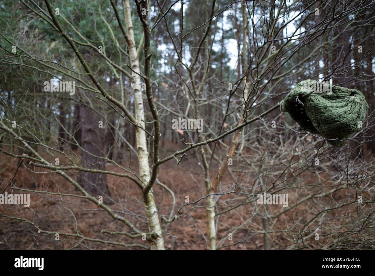 Lost wooly hat hi-res stock photography and images - Alamy