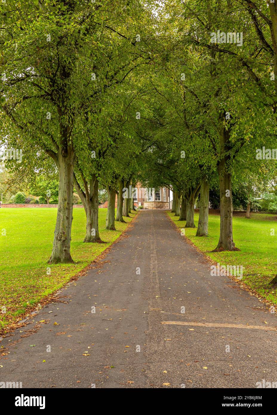 Tree lined path view from Kingsland Bridge in Shrewsbury, UK Stock ...