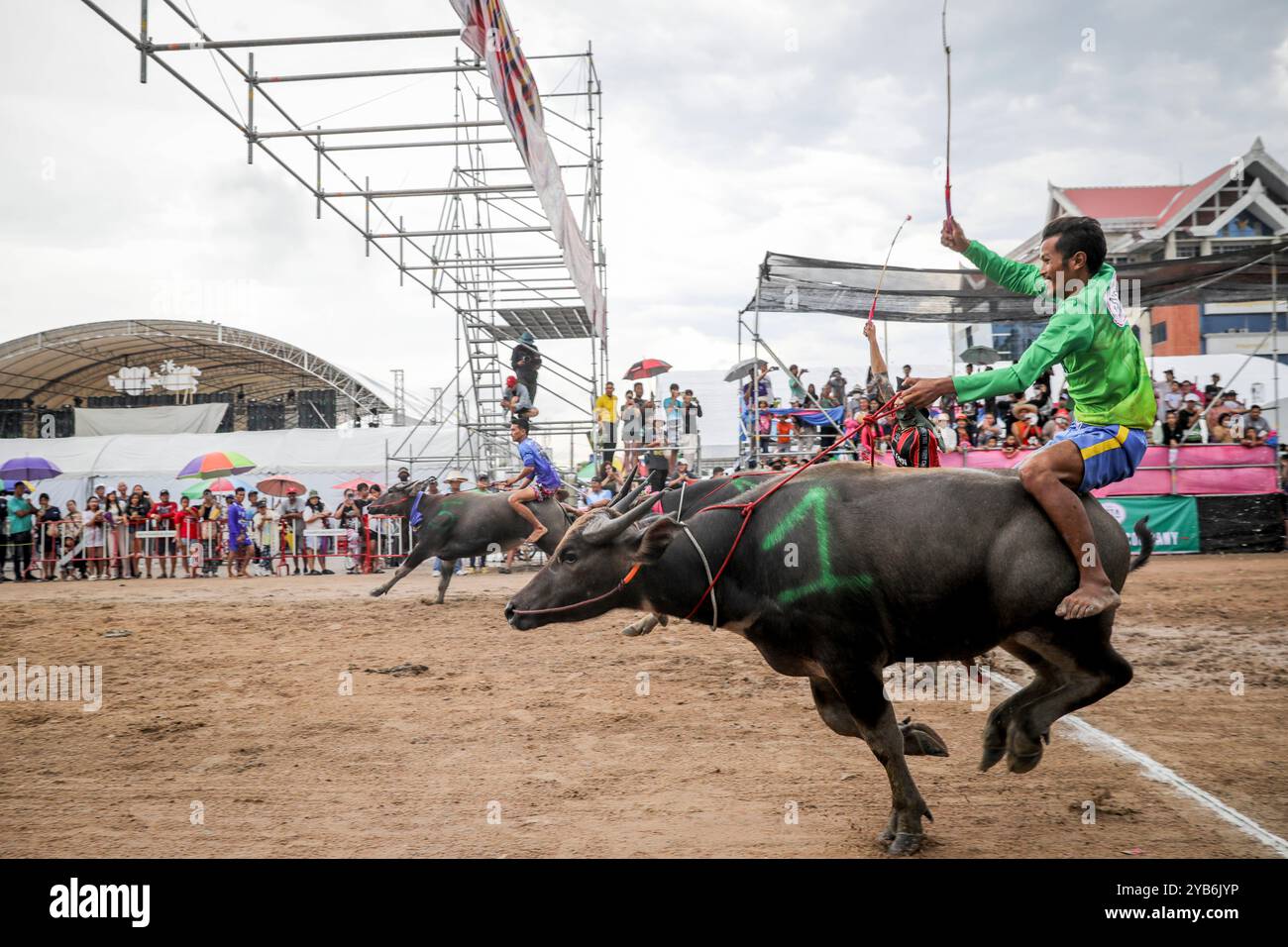 Chonburi Buffalo Racing Festival in Thailand Thai jockeys ride ...