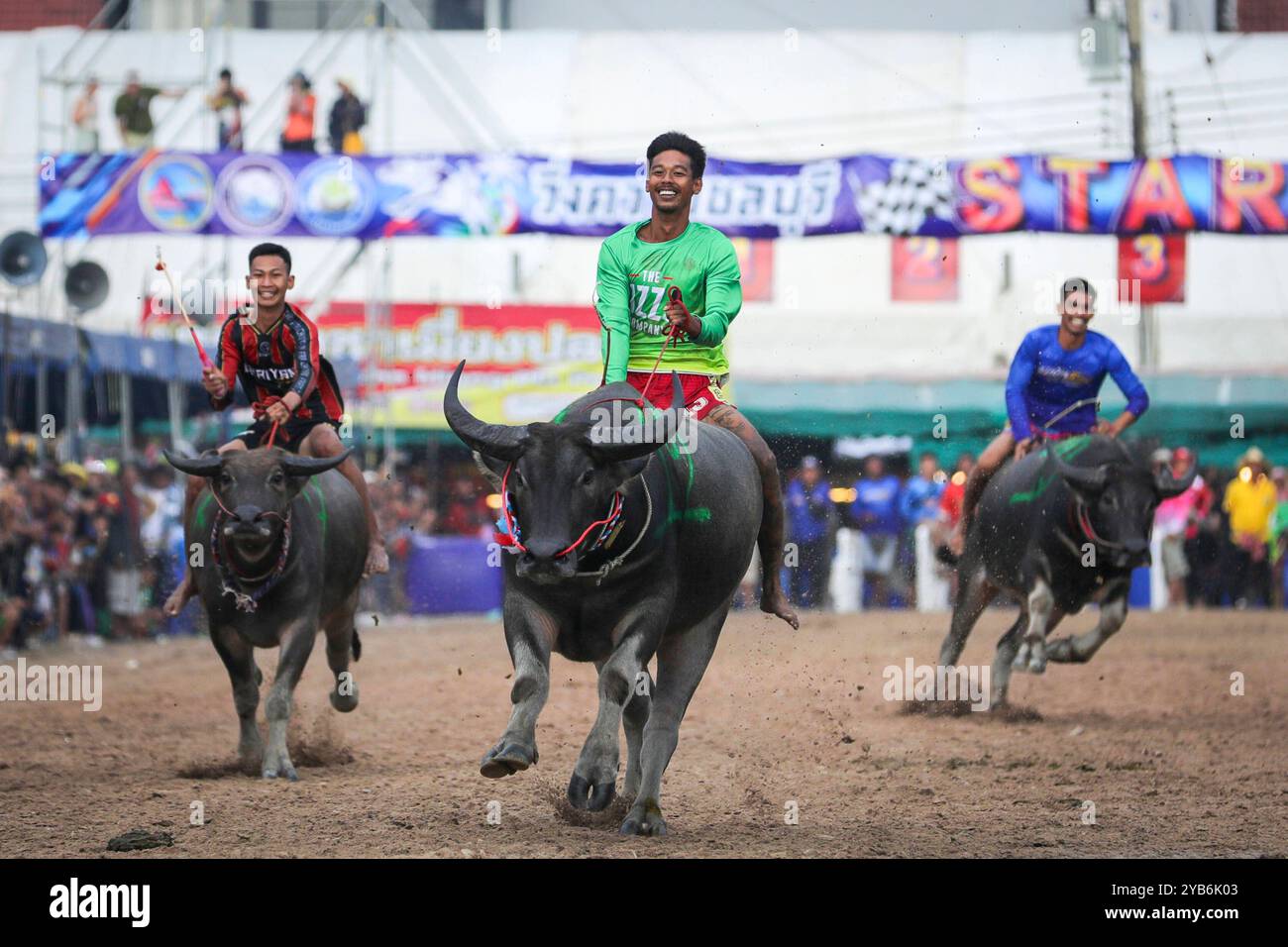 Chonburi Buffalo Racing Festival in Thailand Thai jockeys compete in ...