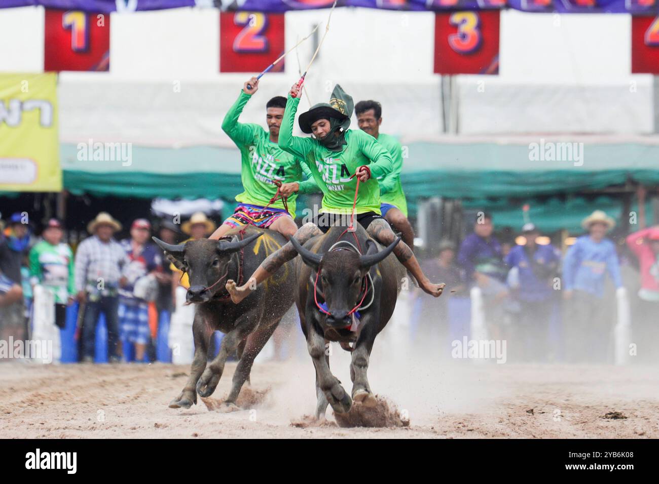 Chonburi Buffalo Racing Festival in Thailand Thai jockeys compete in ...