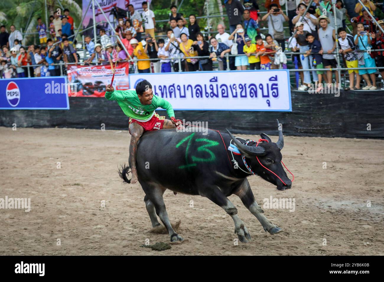 Chonburi Buffalo Racing Festival in Thailand A Thai jockey competes in ...