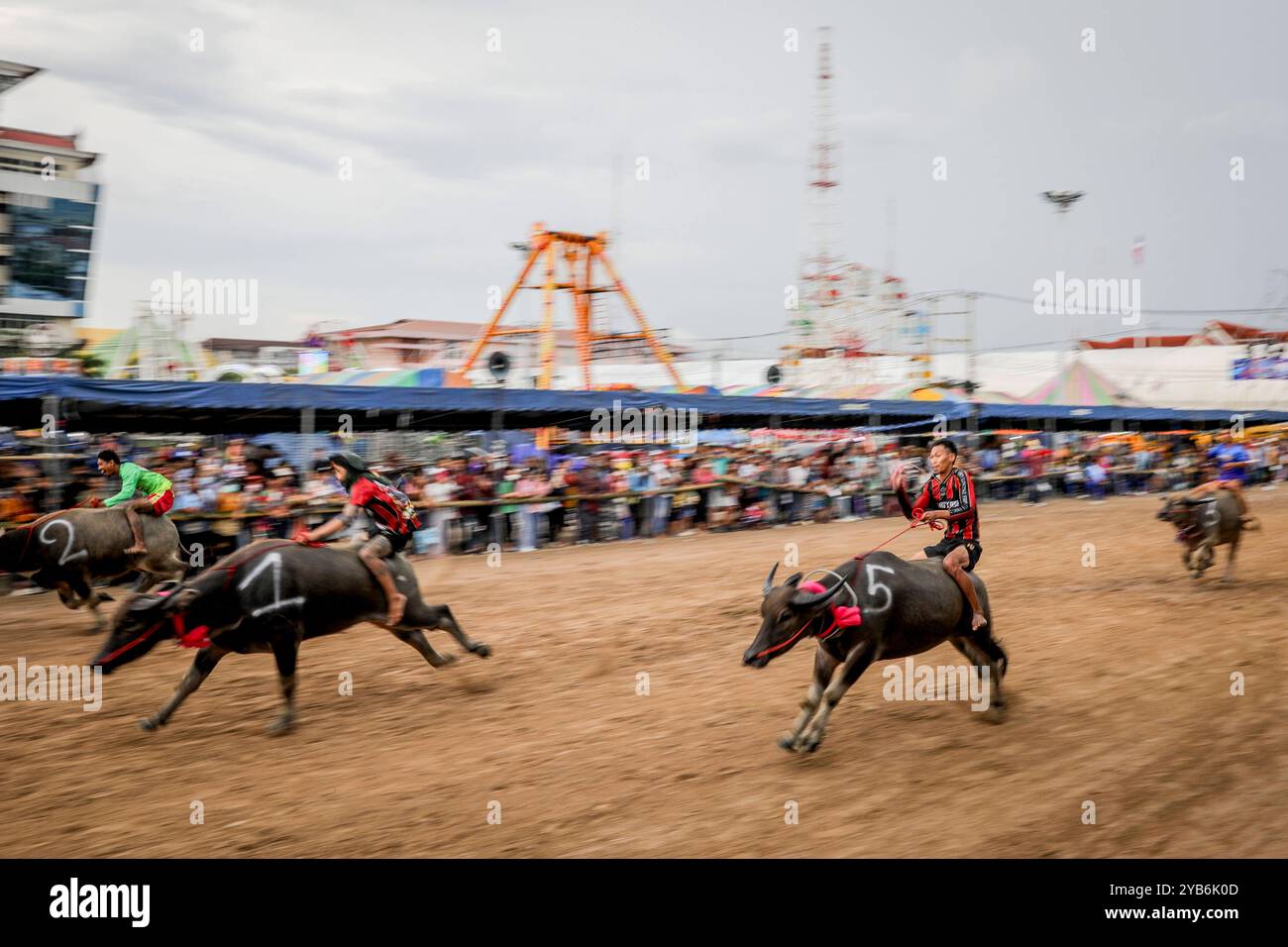 Chonburi Buffalo Racing Festival in Thailand Thai jockeys compete in ...