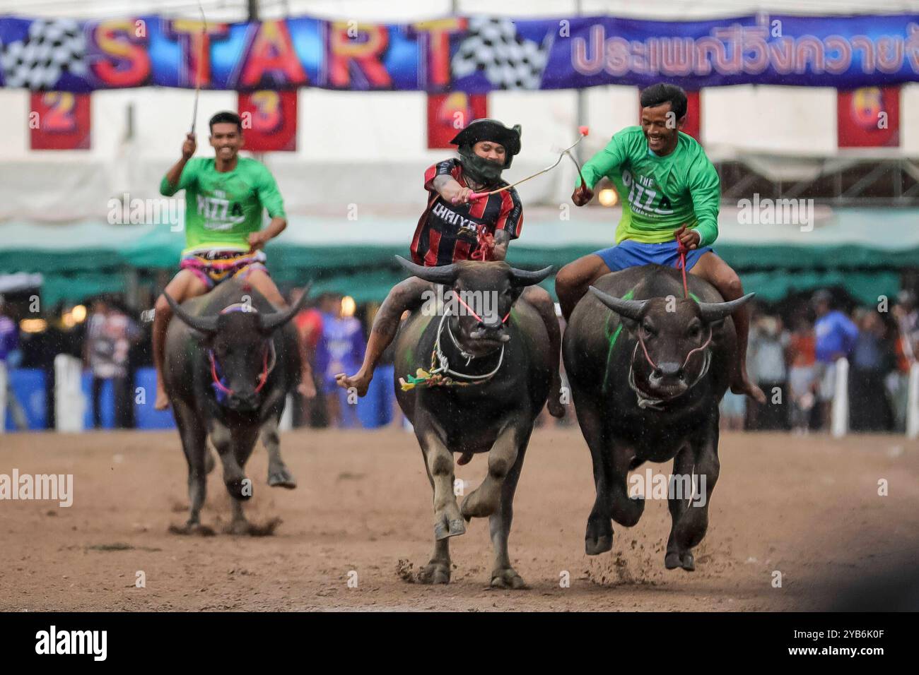 Chonburi Buffalo Racing Festival in Thailand Thai jockeys compete in ...