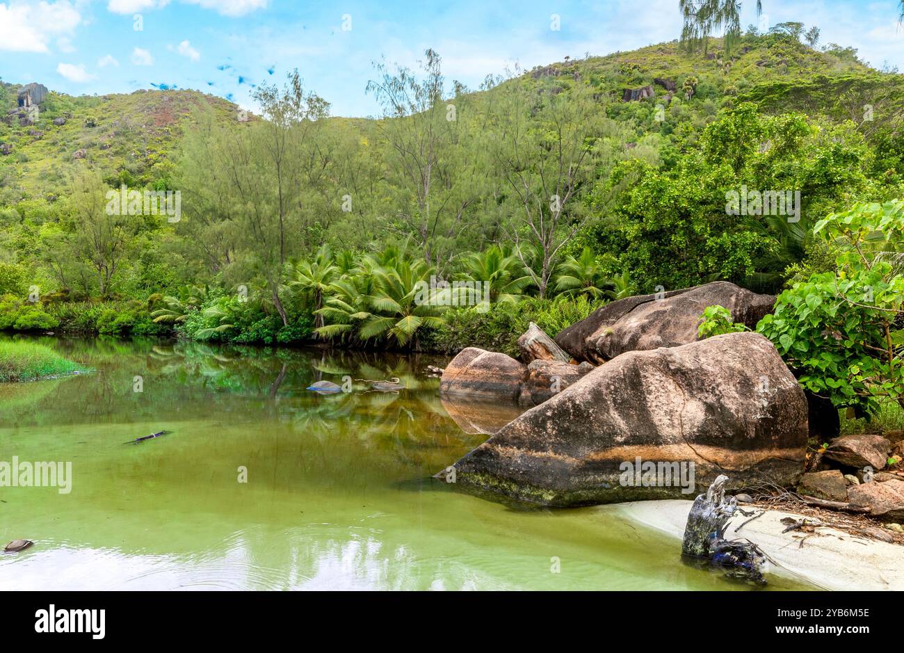 Rocks and palm trees in a tropical lagoon under a blue sky in ...