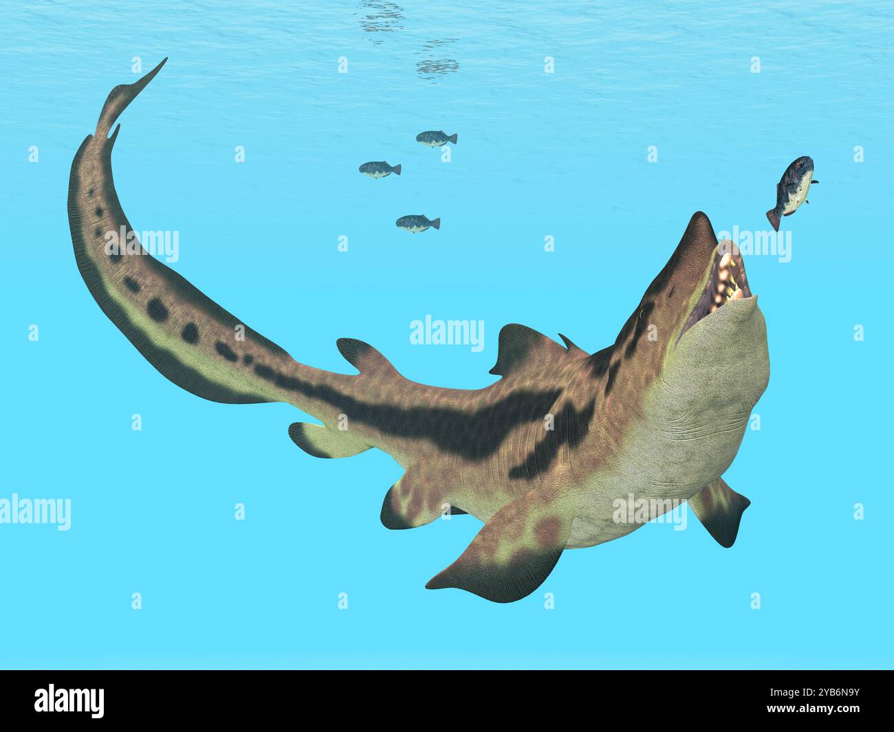 Prehistoric shark Edestus on the hunt Stock Photo - Alamy