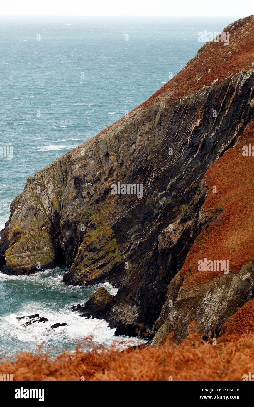 Rockface at Dinas Head, Pembrokeshire, West Wales from the coast path ...