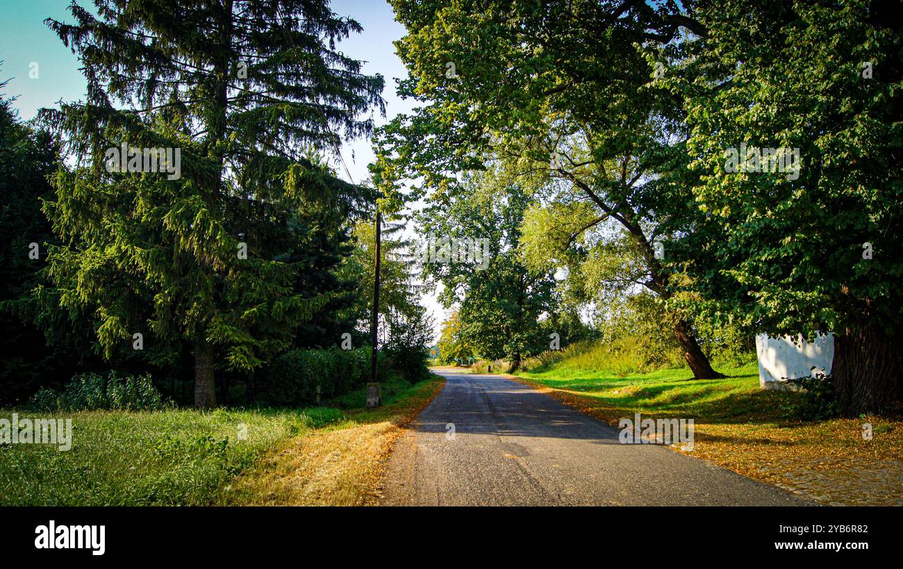 Village road trees in hi-res stock photography and images - Alamy